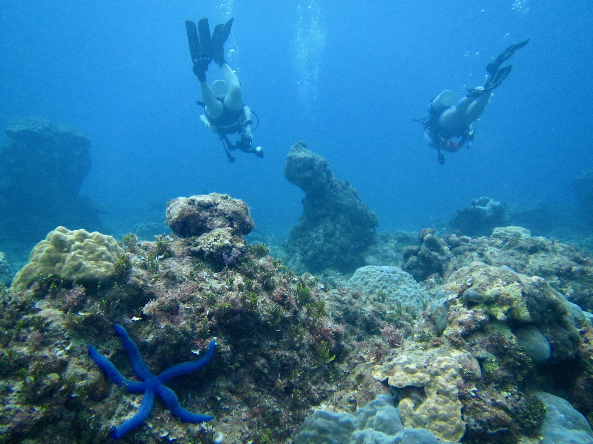 Scuba Diving in Guam: Propeller Reef – Damian Daily